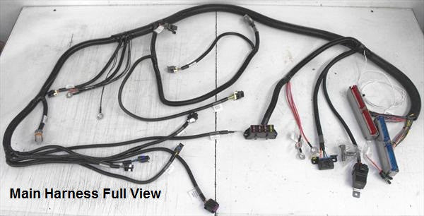 24x Main Stand Alone Engine Wiring Harness – Schwanke Engines LLC
